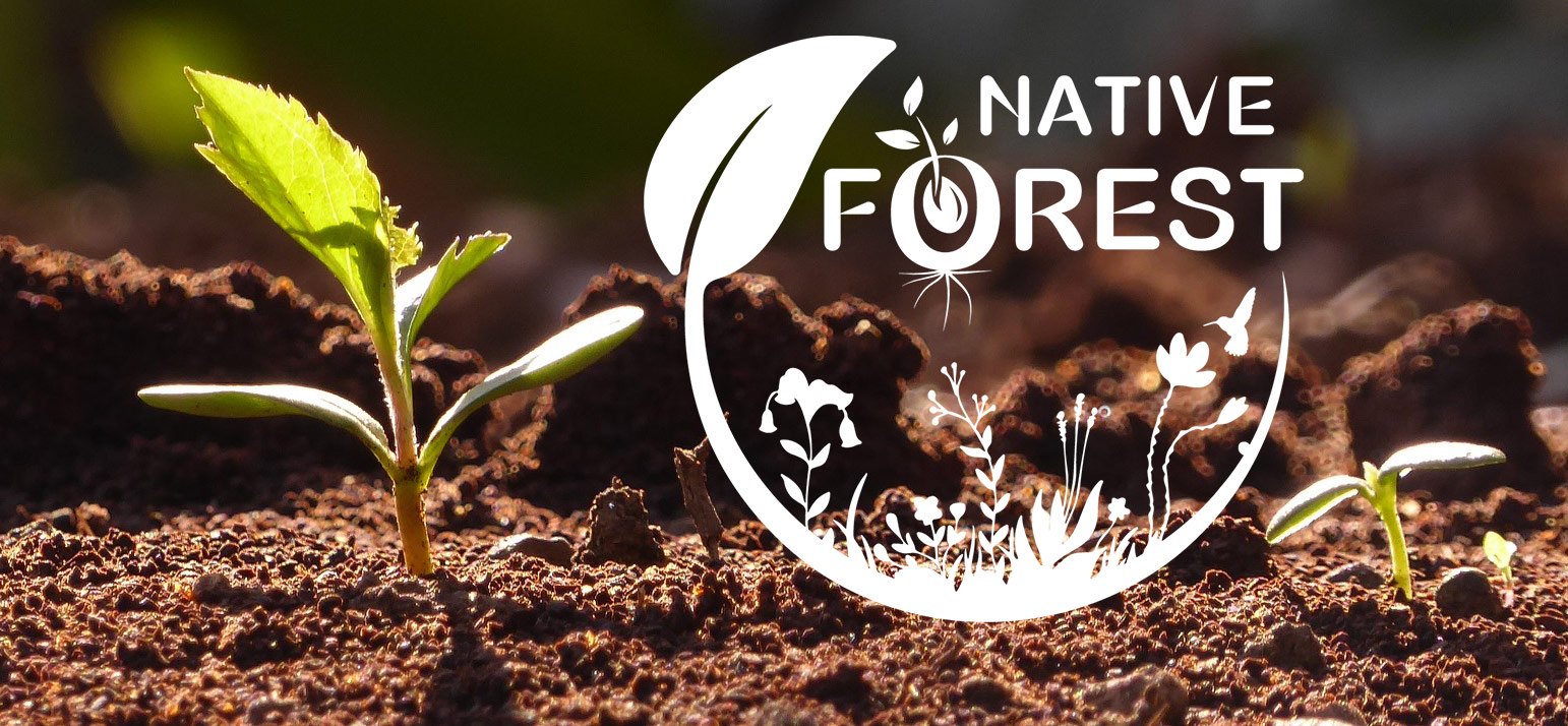 Conditions Générales de Vente et d’Utilisation | Native Forest